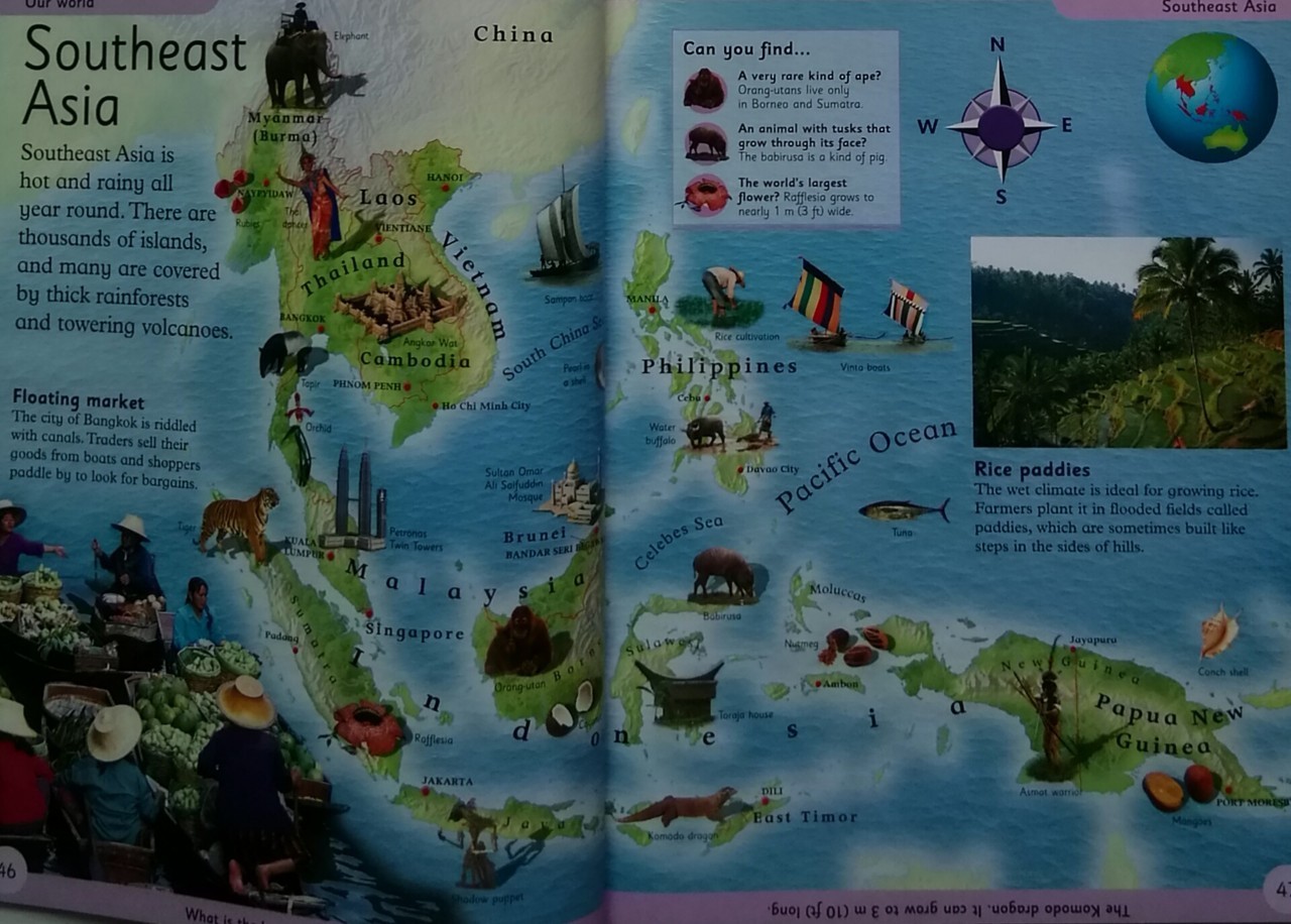 First Children's Encyclopedia