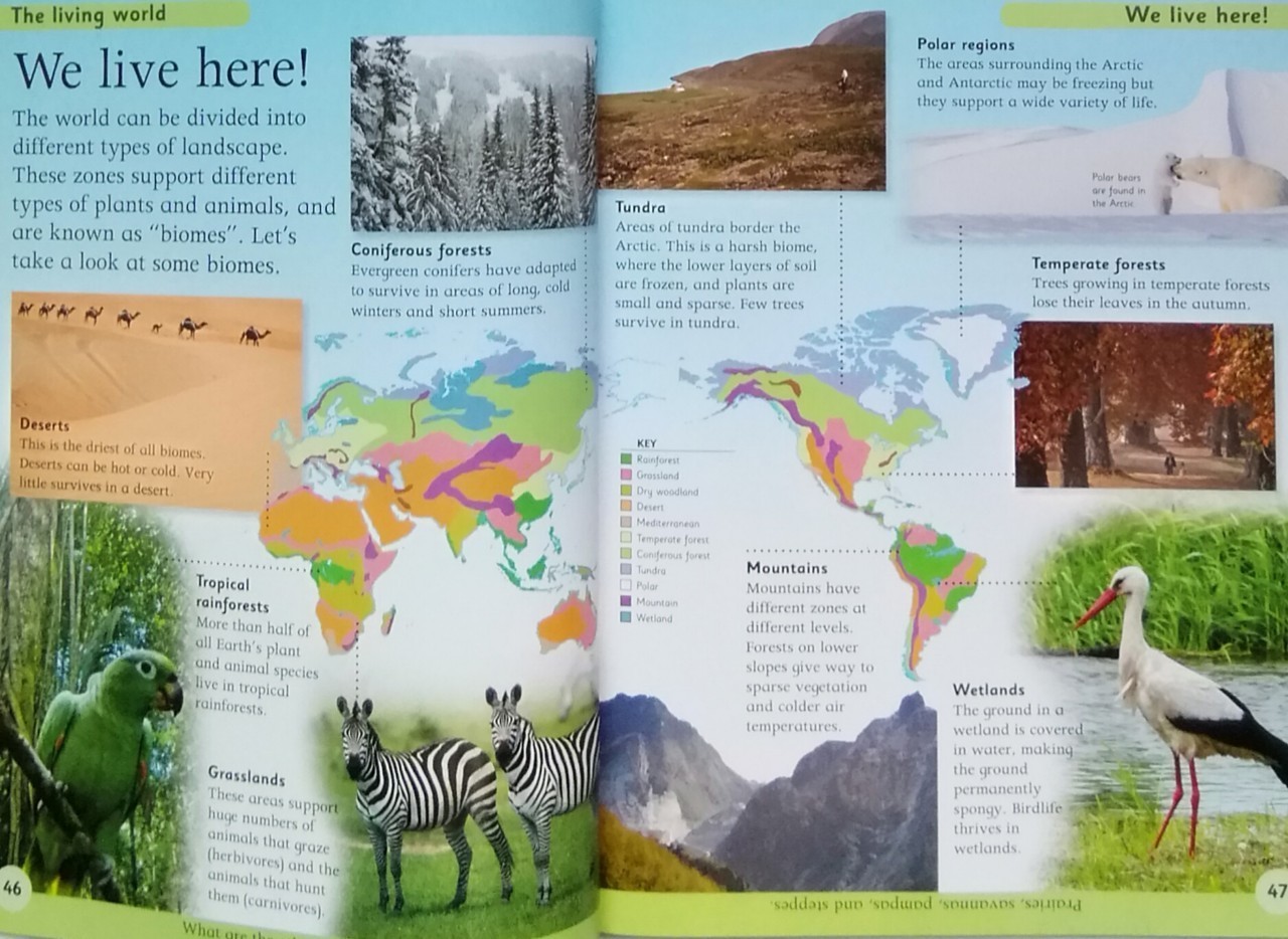 First Geography Encyclopedia: