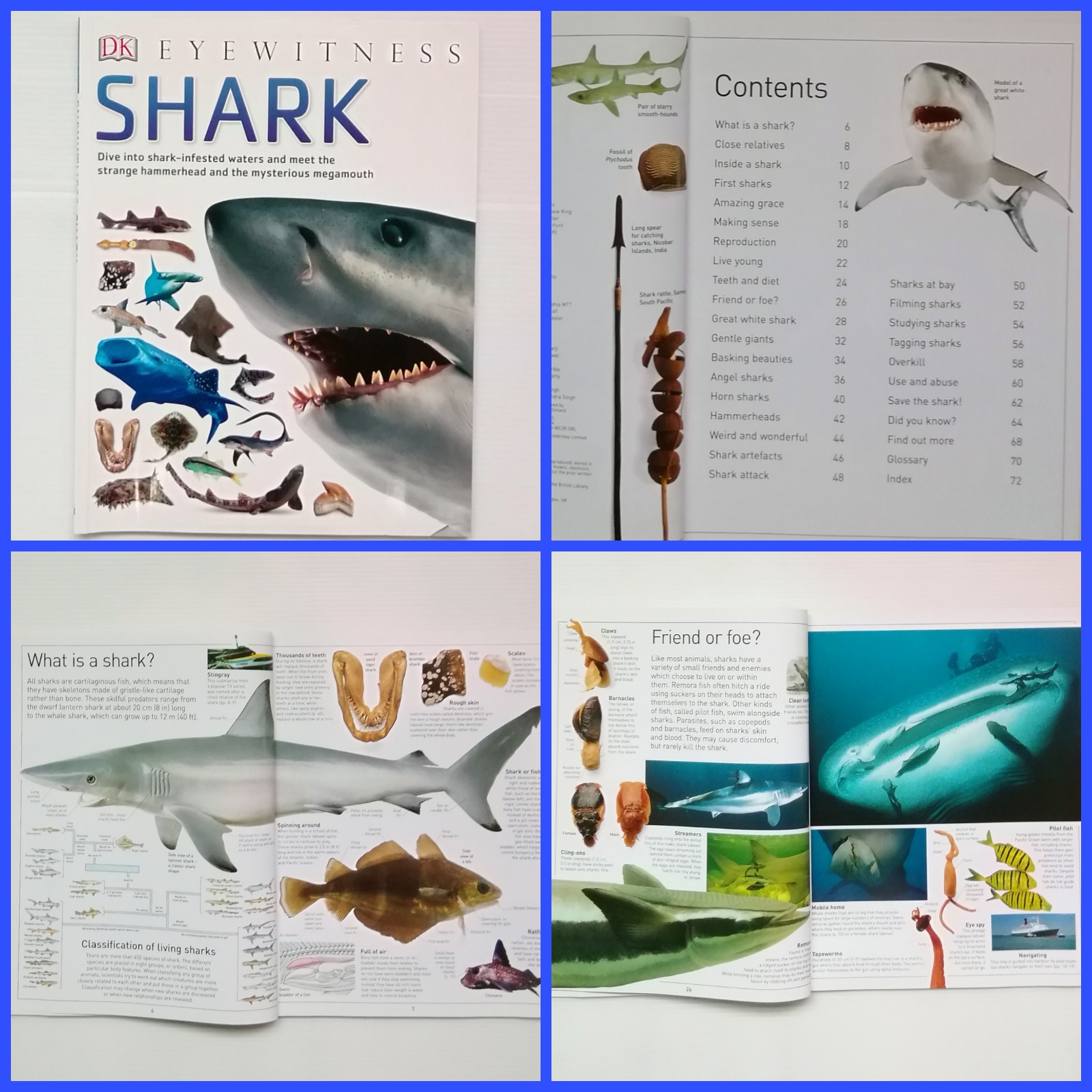 Shark(DK Eyewitness)