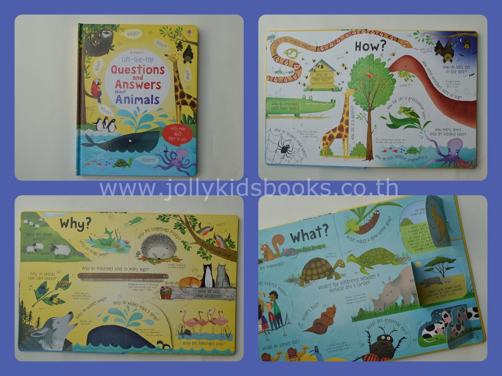 Lift the Flap Questions & Answers about Animals