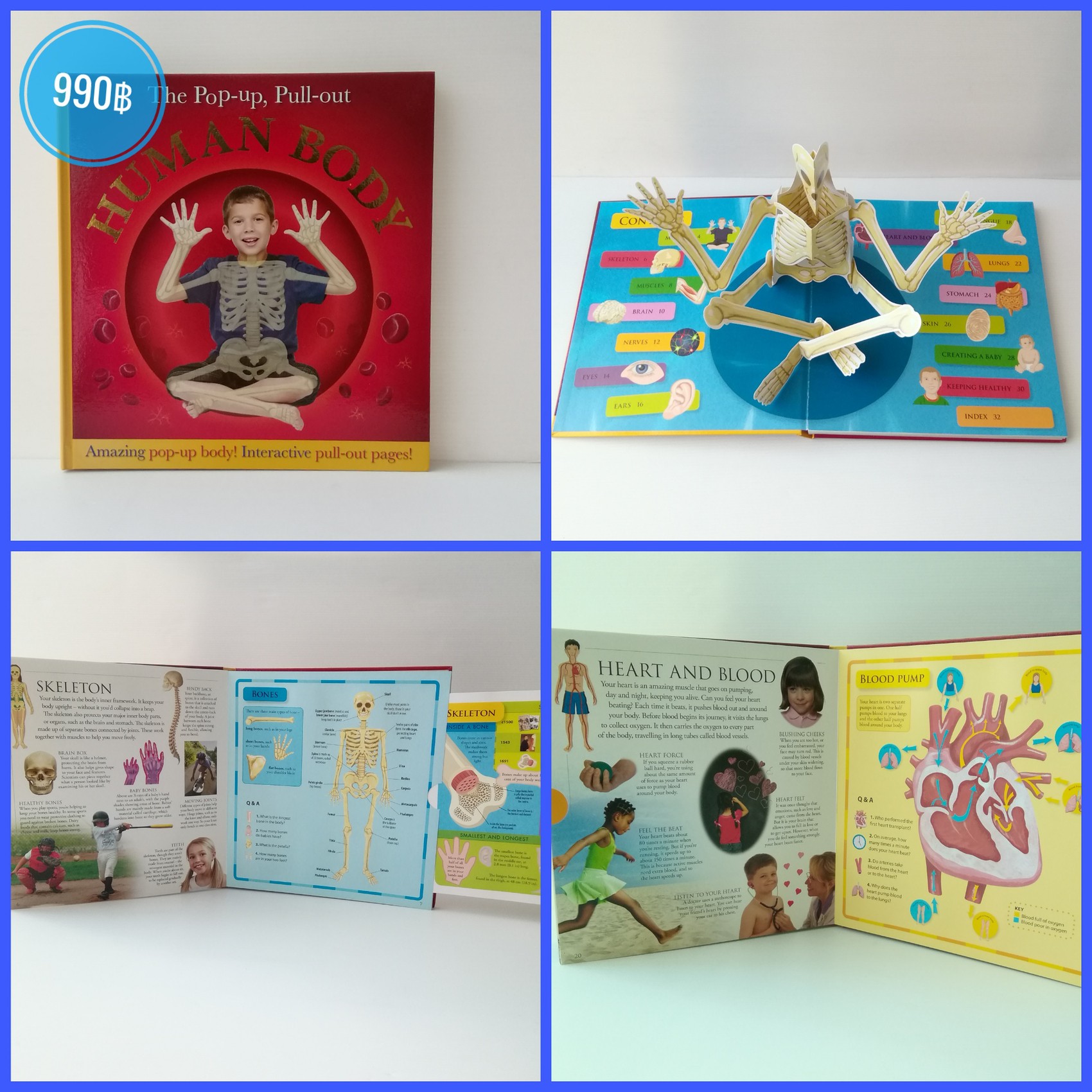 Pop-Up, Pull-Out Human Body