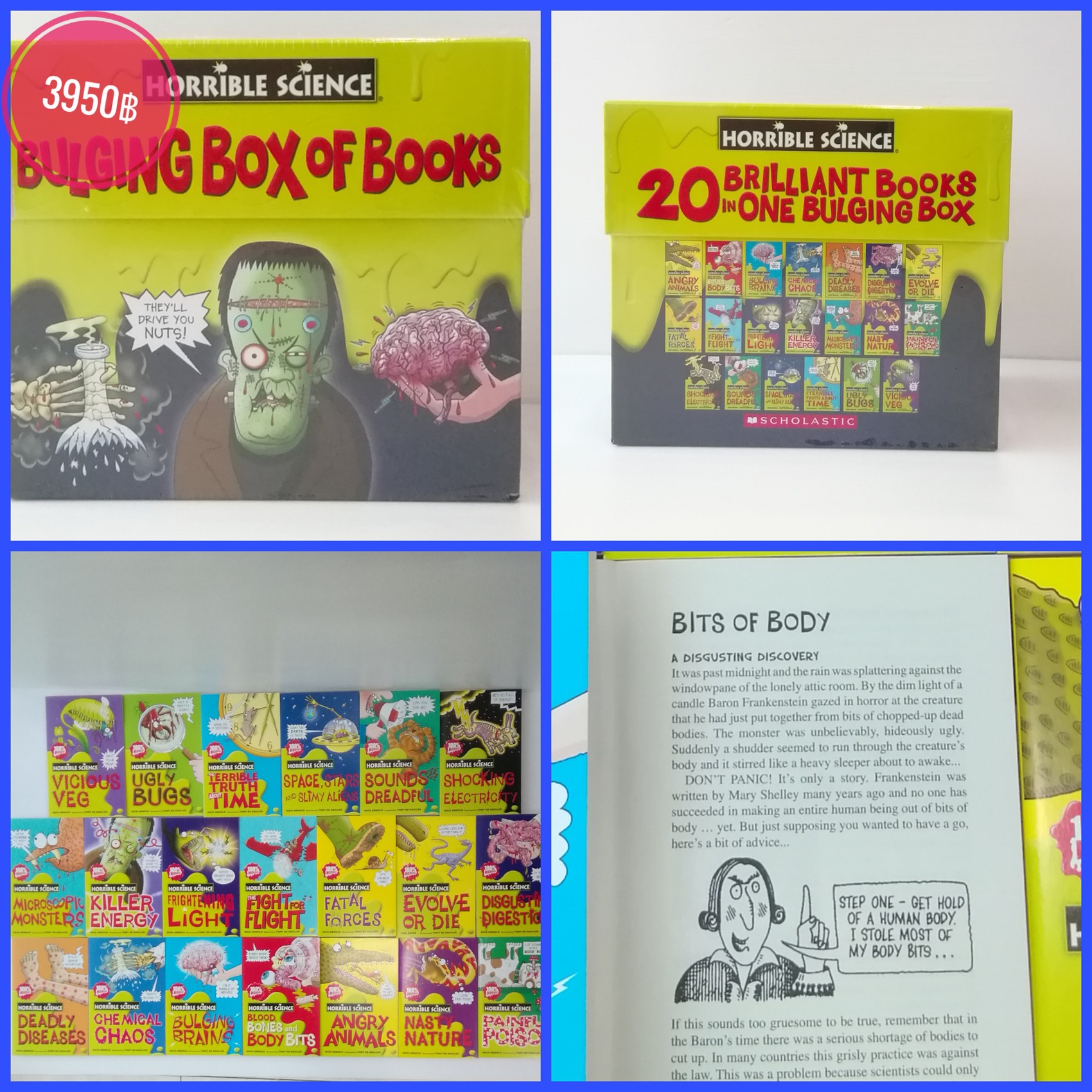 Bulging Box of Books (Horrible Science)