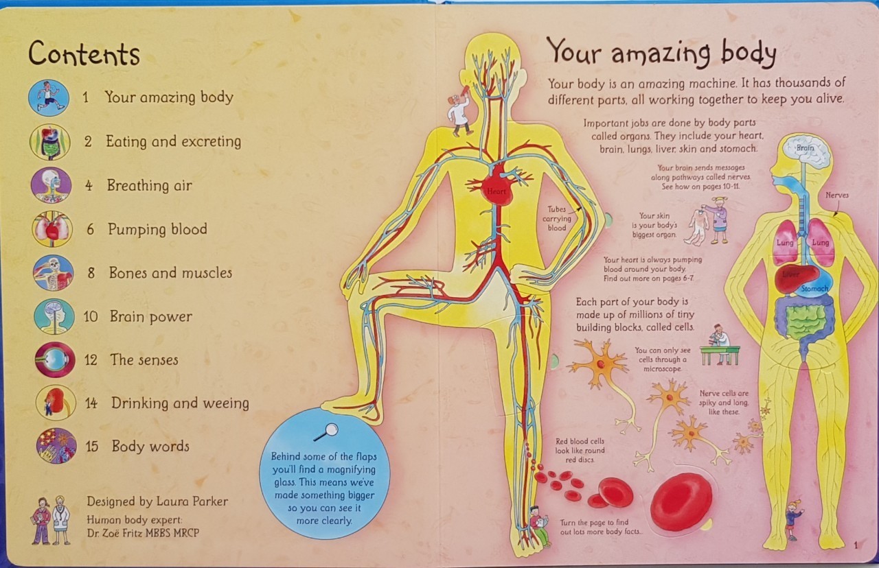 See Inside Your Body