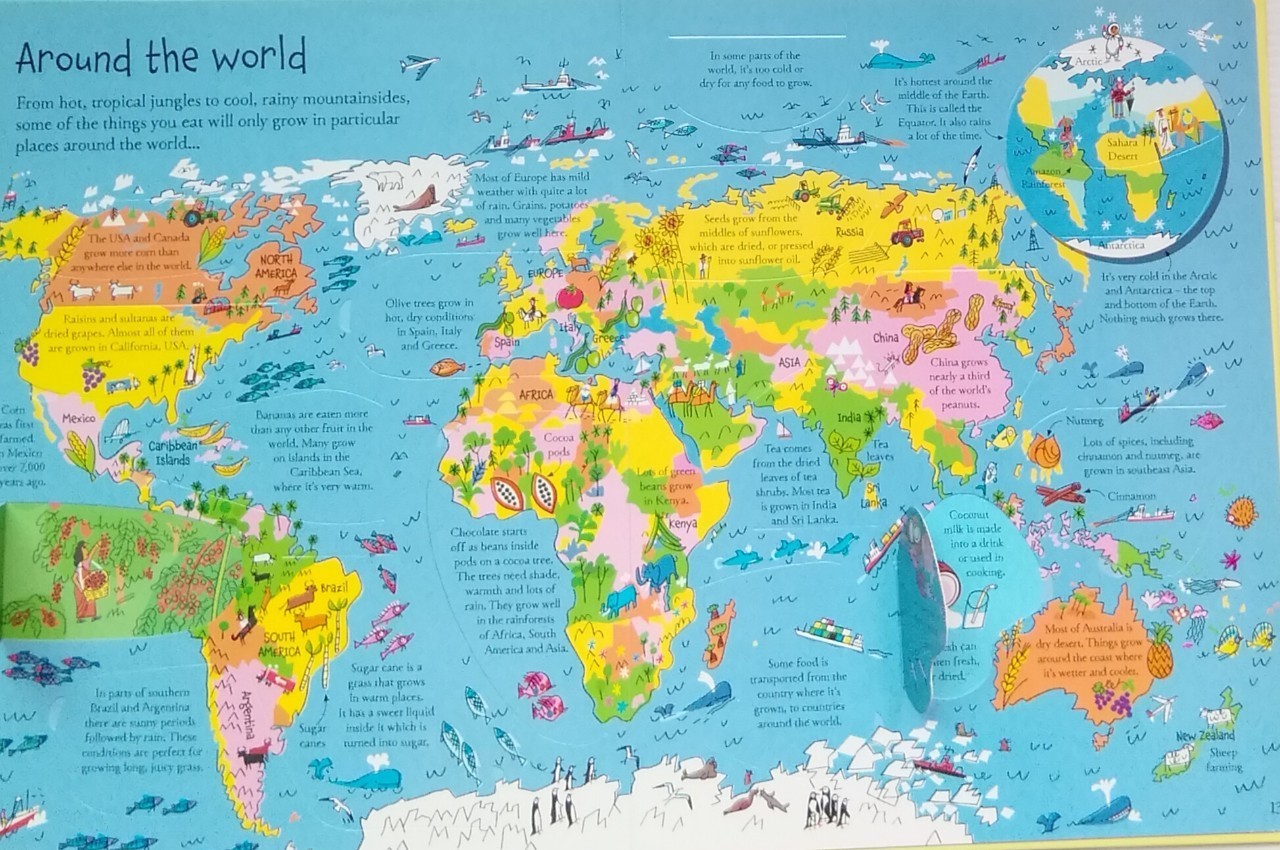 Where food come from