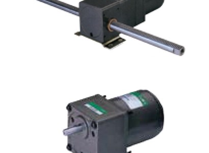 Small Gear Motor
