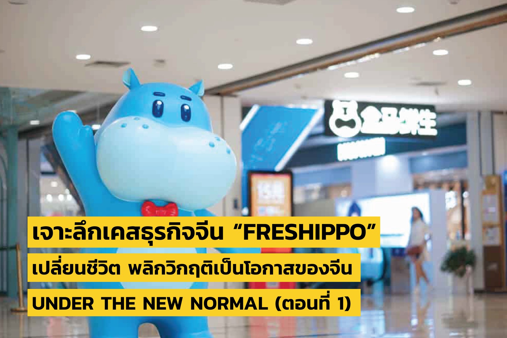 เจาะลึก เคสธุรกิจจีน "FRESHIPPO" เปลี่ยนชีวิต พลิกวิกฤติเป็นโอกาสของจีน ...