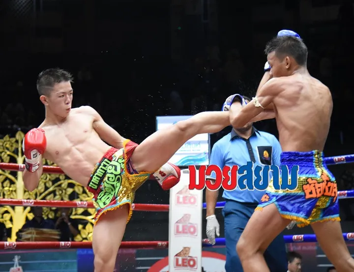 Mini Flyweight Champion