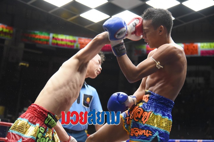 Mini Flyweight Champion