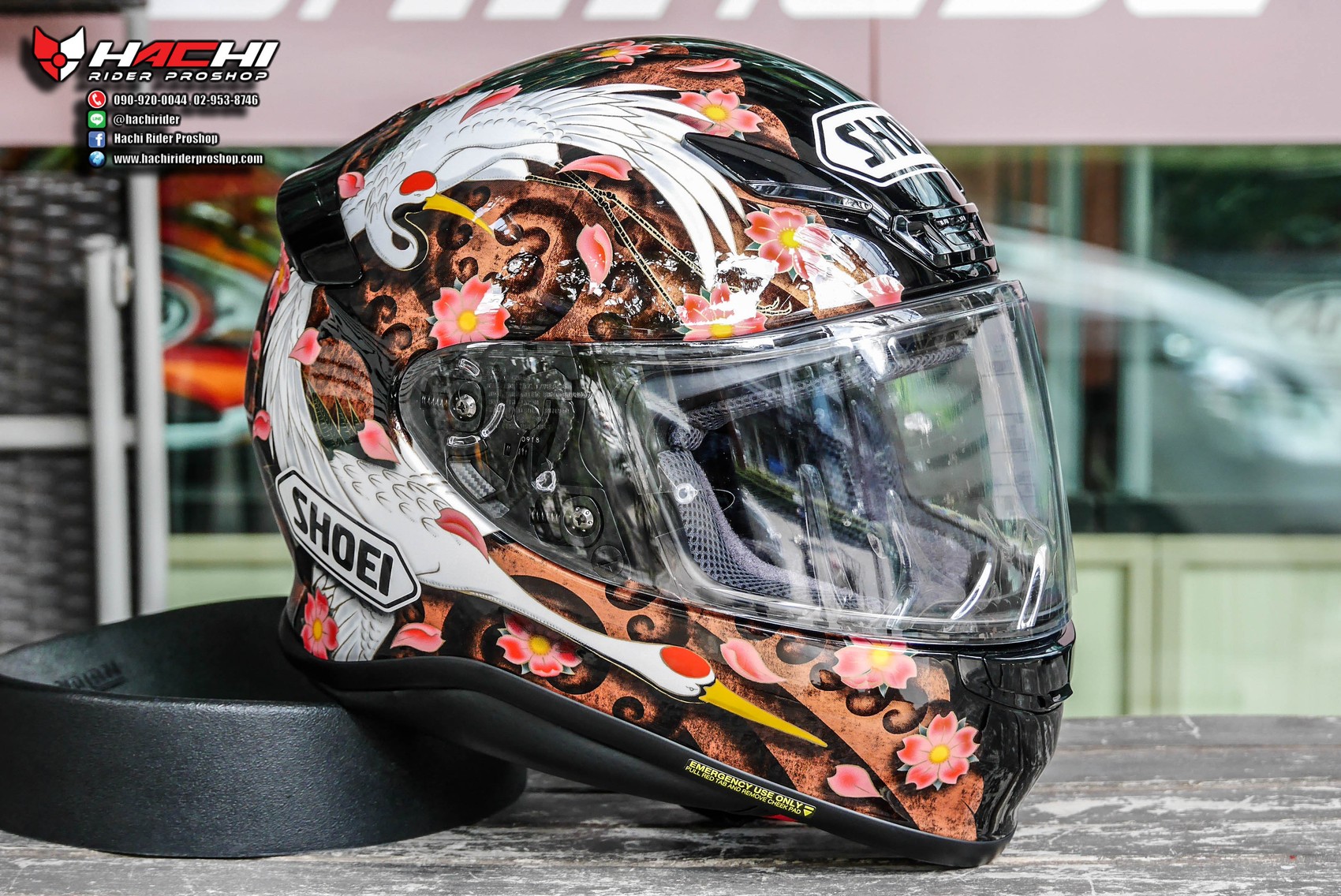 SHOEI Z-7 Plus: Transcend (Limited Edition)