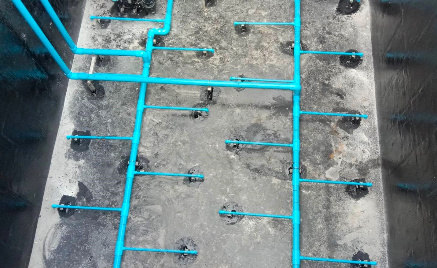 WIN CHANCE FOODS CO., LTD.