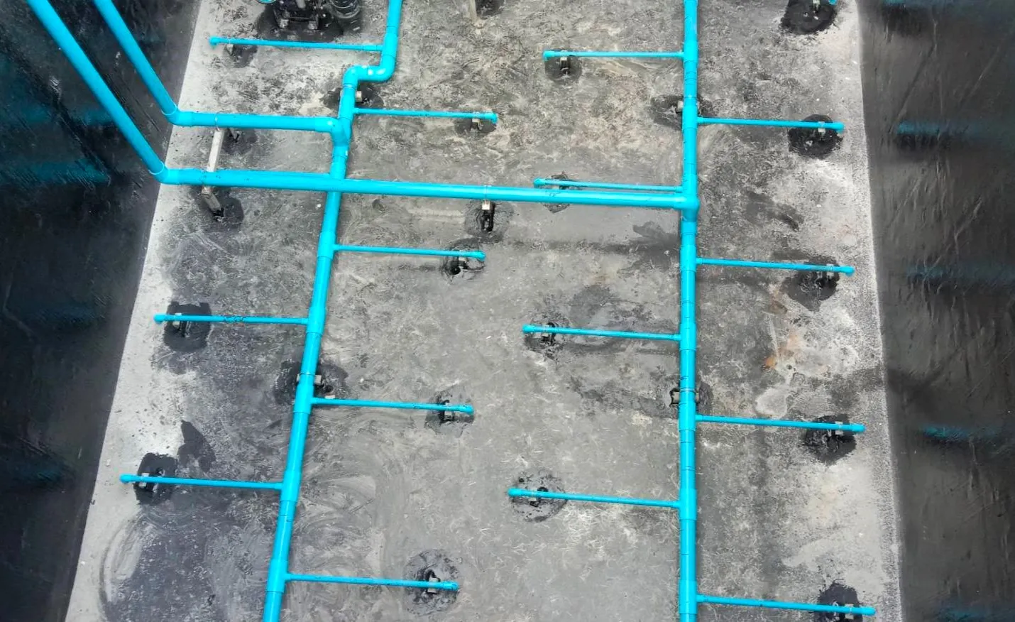 WIN CHANCE FOODS CO., LTD.