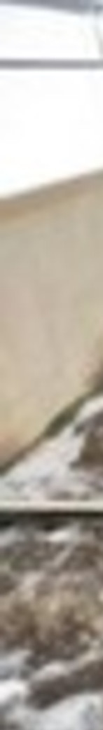 MAXTEX TRADING GROUP CP., LTD.