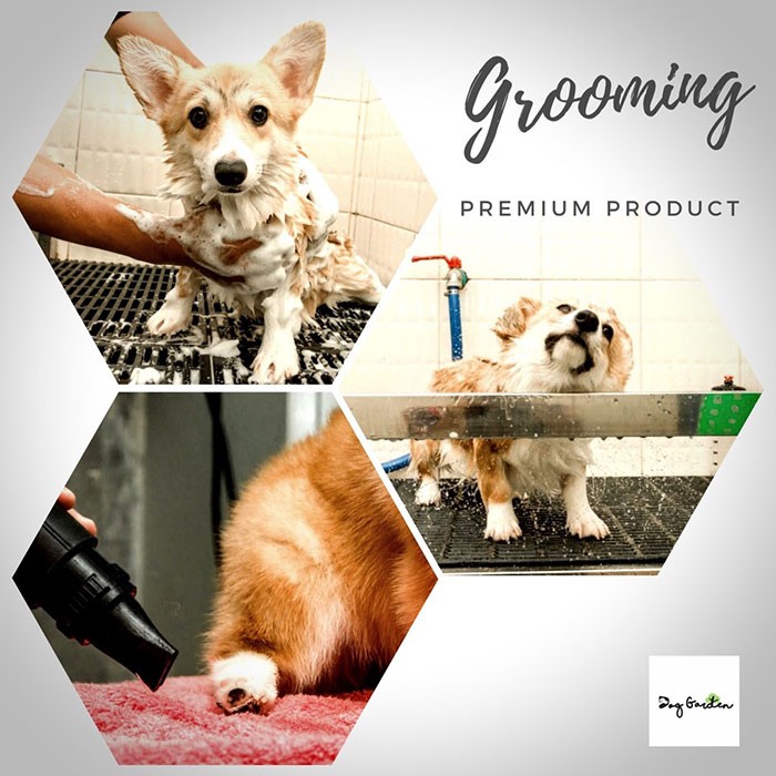 GROOMING