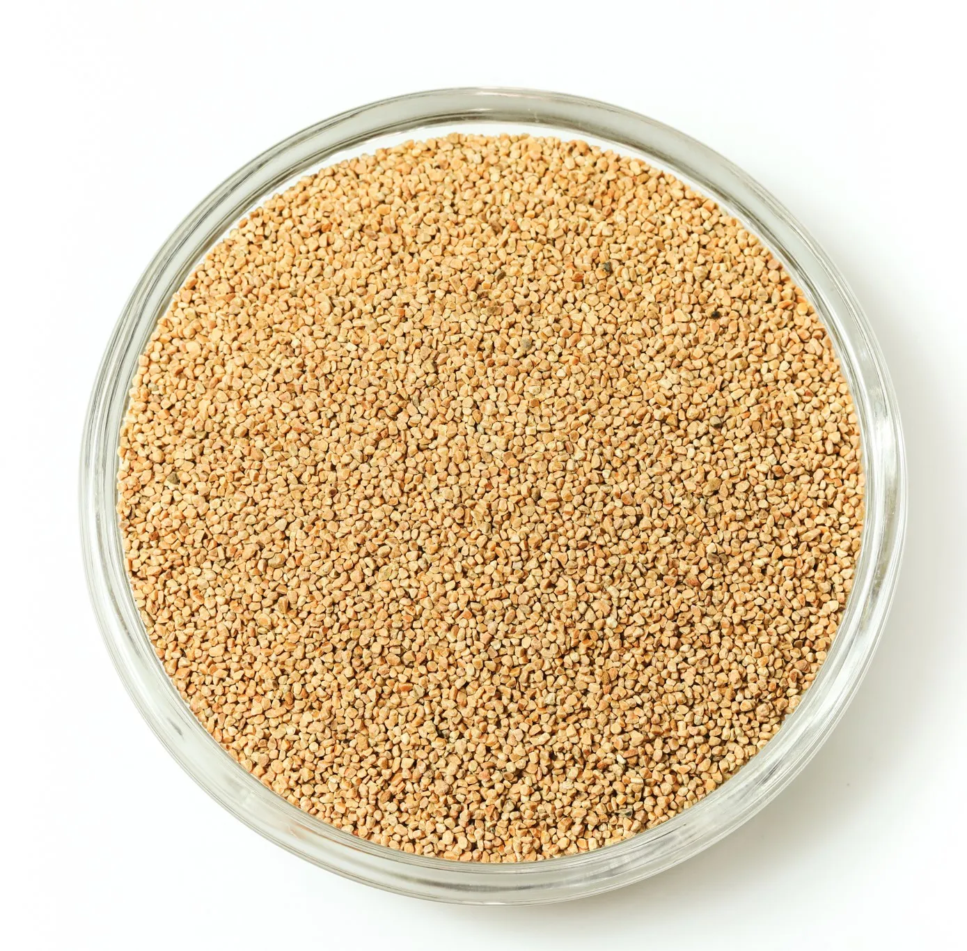 วอลนัทเชล (Walnut Shell)