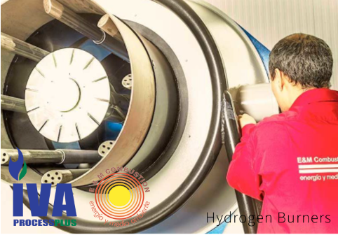 ตัวแทน DURAG Flame monitor ในประเทศไทย www.processplus.co.th