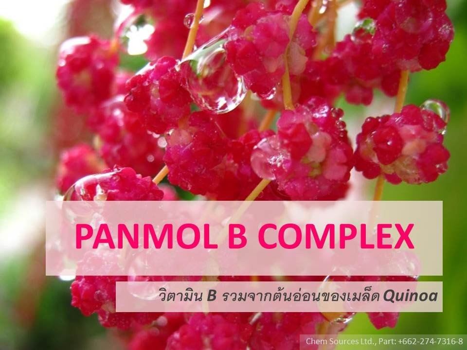 Panmol® B complex – A natural B vitamins