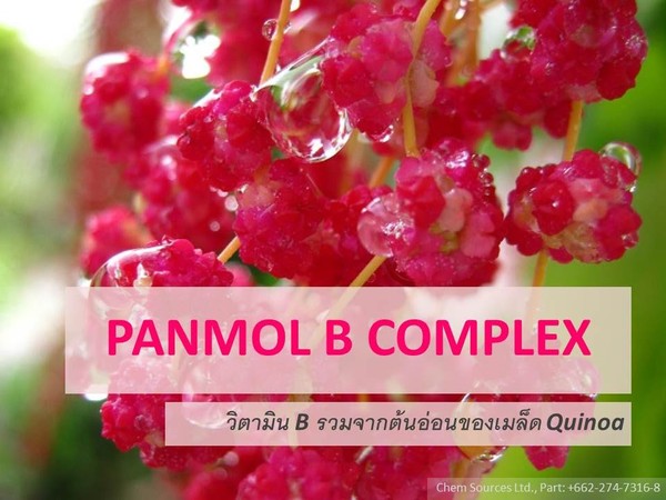 Panmol® B complex – A natural B vitamins
