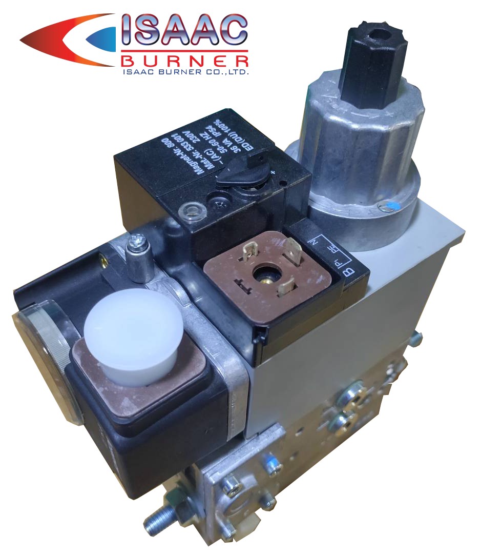 Home [www.isaac-burner.com]