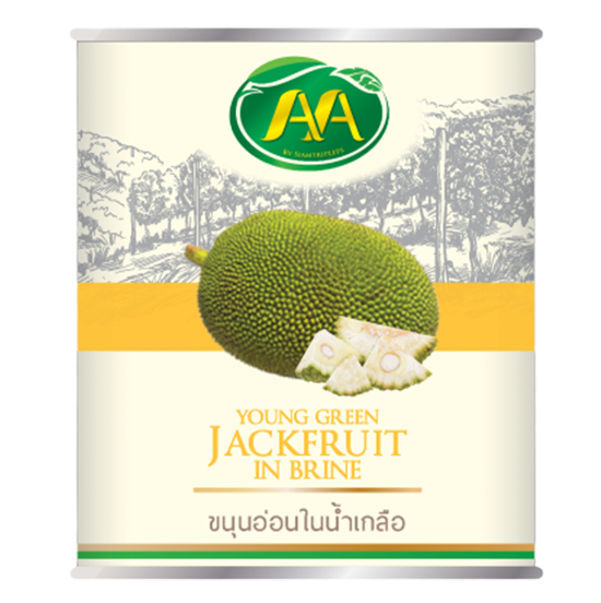 Young Green Jackfruit