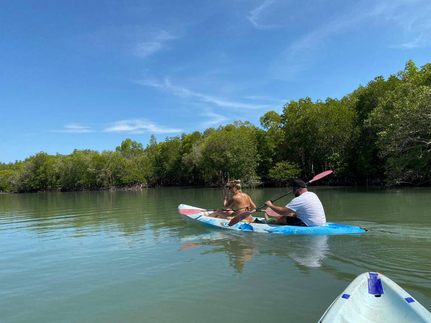 Program Mangrove Tour By Kayaking