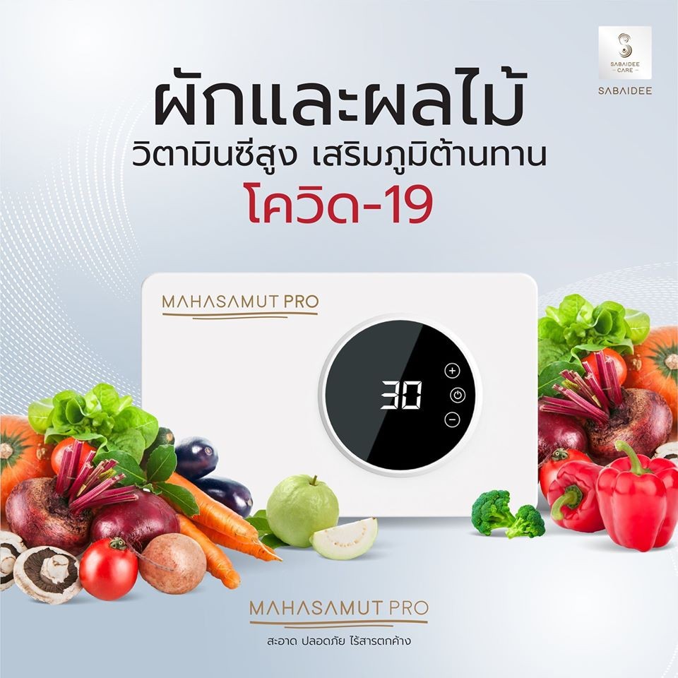 เครื่องโอโซนล้างผัก mahasamut pro