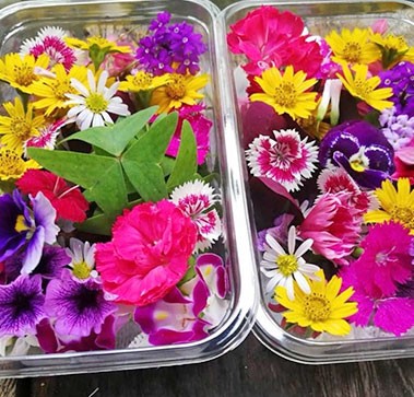 Edible Flowers Mix