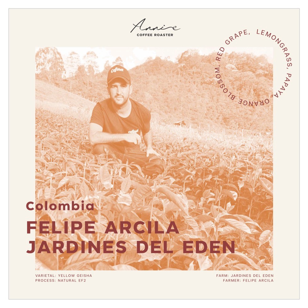 Colombia Felipe Arcila Jardines del Eden Yellow Geisha, Natural EF2