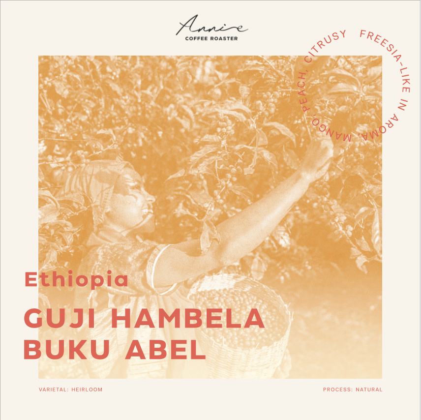 Ethiopia Guji Hambela Buku Abel, Natural Process, Light Roast