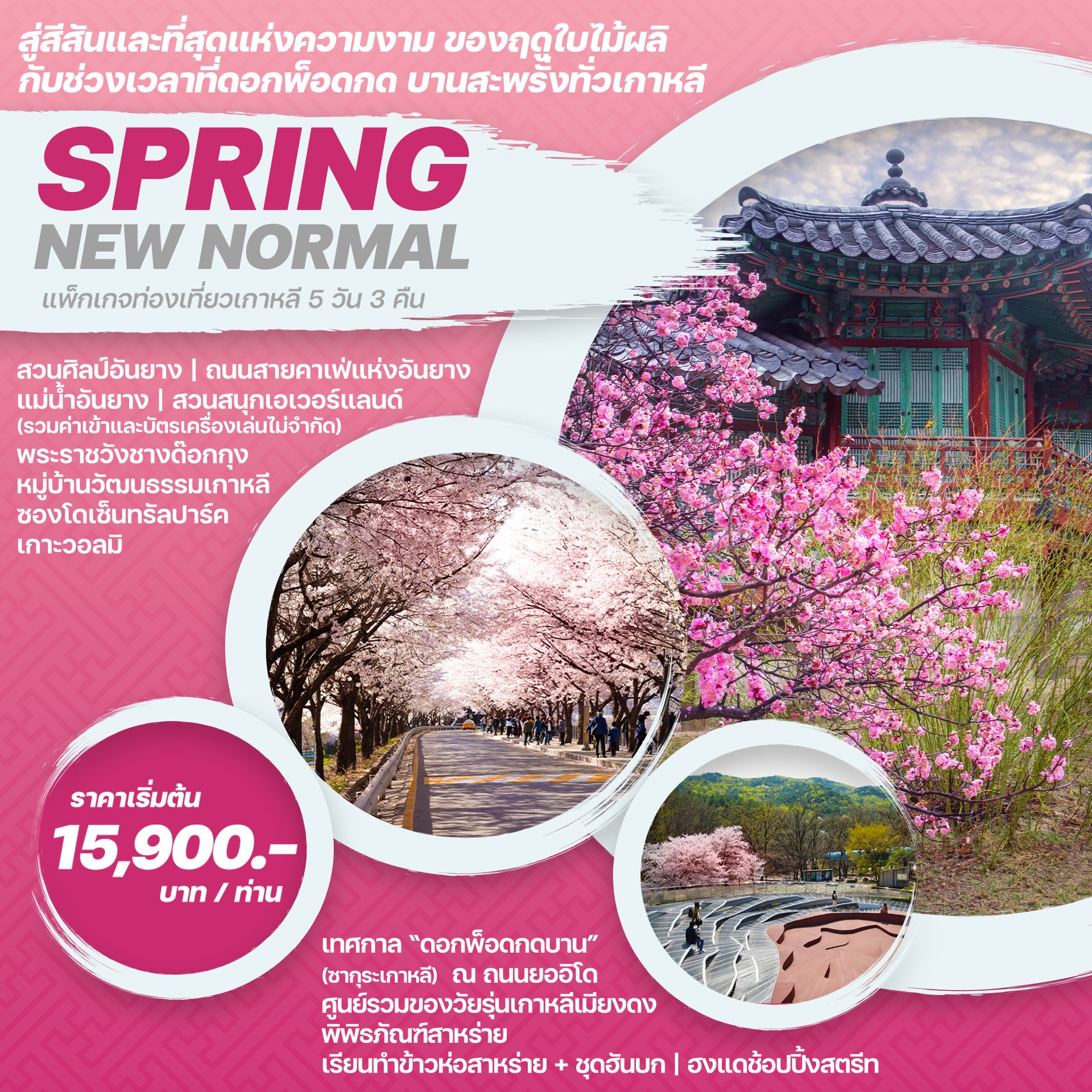 WEICN_เกาหลี SPRING NEW NORMAL 5 วัน 3 คืน7C