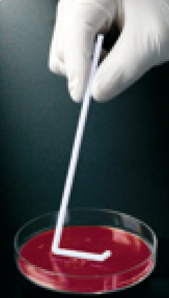 "Deltalab" Spreader B/5 Sterile 5 pcs