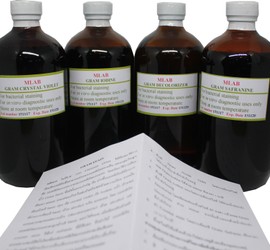 Gram Stain Set 4 x 450 ml.
