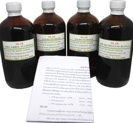 AFB Stain Set (ชนิดลนไฟ) 4 x 450 ml.