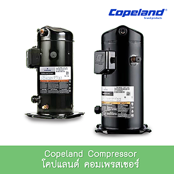 หน้าแรก