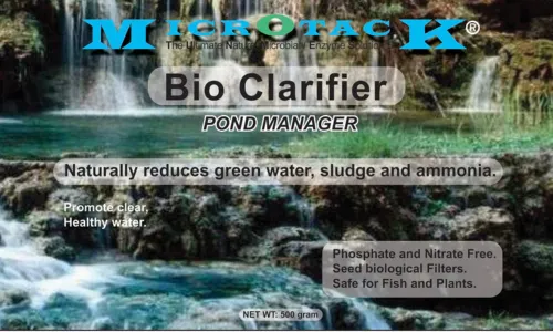 Enhance Water Clarity with Bio-Clarifiers: The Ultimate Solution for ...