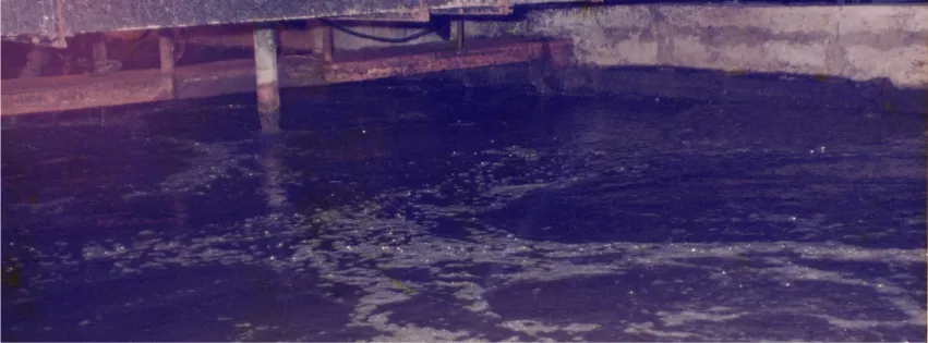 Bulking Sludge Treatment and Wastewater Digester Solutions | Microtack®