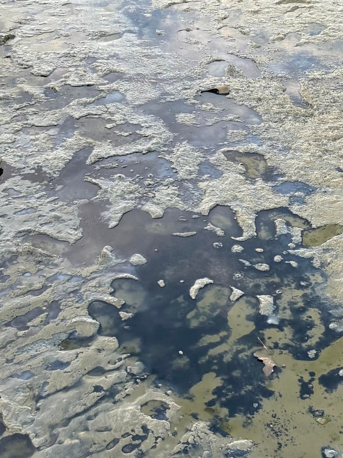 Aged ponds posing a higher risk to shrimp and fish health