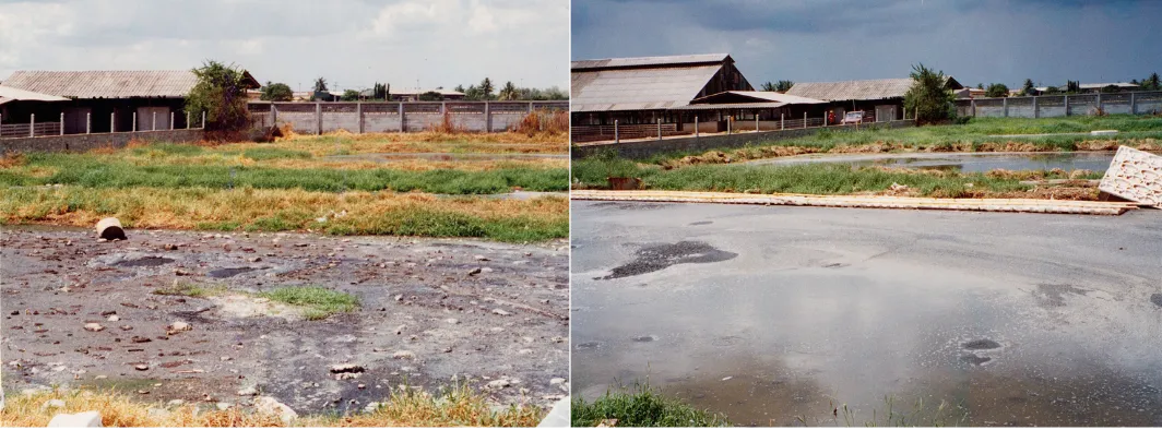Bacteria enzyme for livestock manure waste and wastewater treatment ...