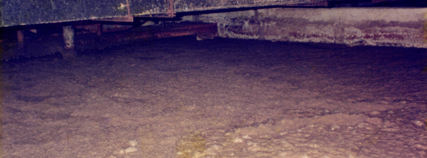 Waste Digester for Bulking Sludge: Efficient Microbial Solutions for ...