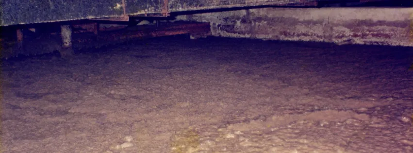 Bulking Sludge Treatment and Wastewater Digester Solutions | Microtack®