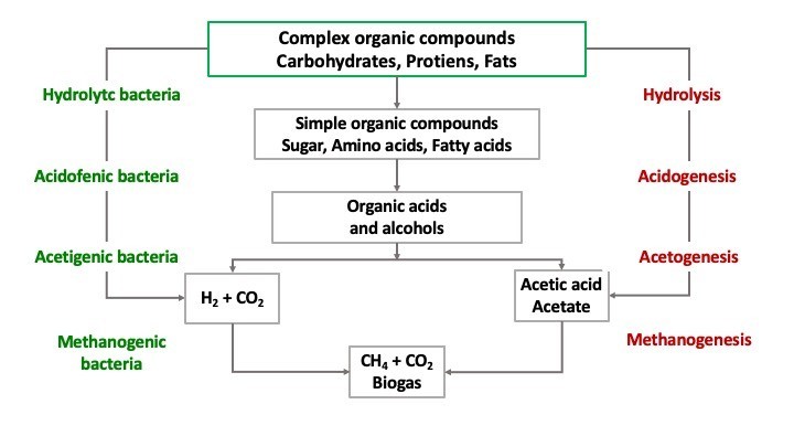 Baxel Company (Biotech) enzymes for biogas methane and anaerobic digester