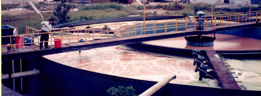 Reduce BOD, SS, and FOG: Advanced Microbial Solutions for Wastewater ...