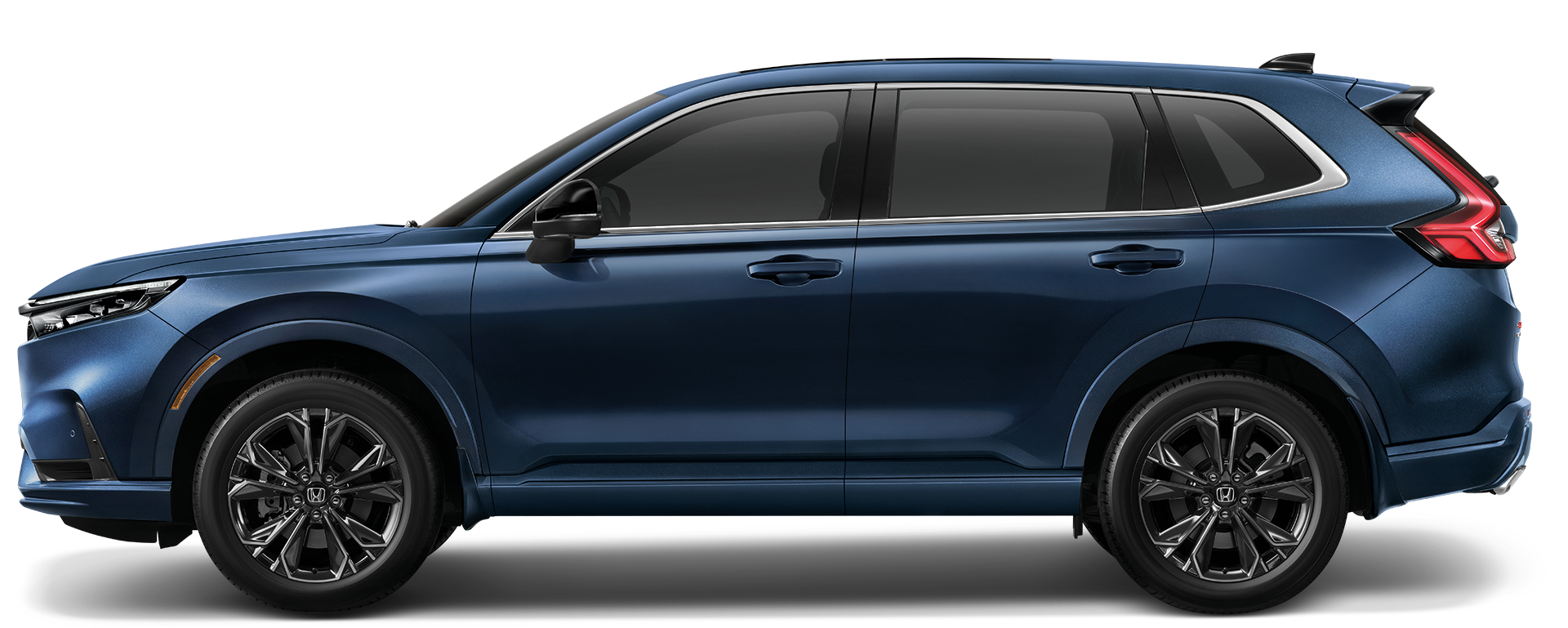 หน้าแรก