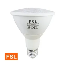 LED PAR 30 13W FSL