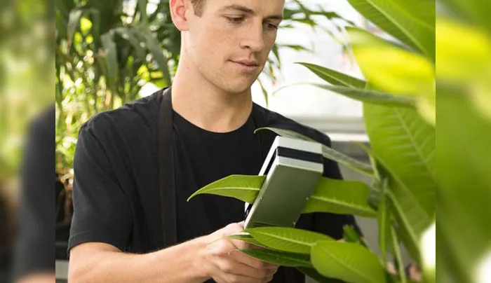 Plant Physiology