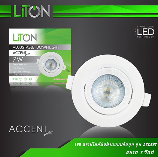 Adjustable Downlight (ACCENT)