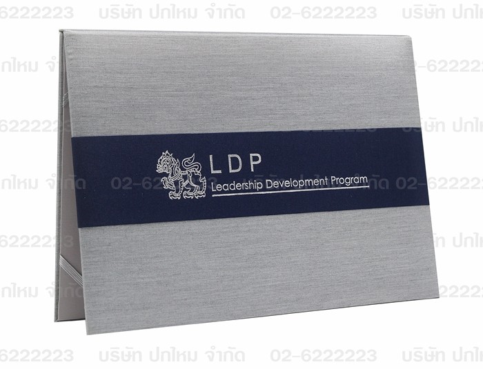 LDP Leadership Development Program