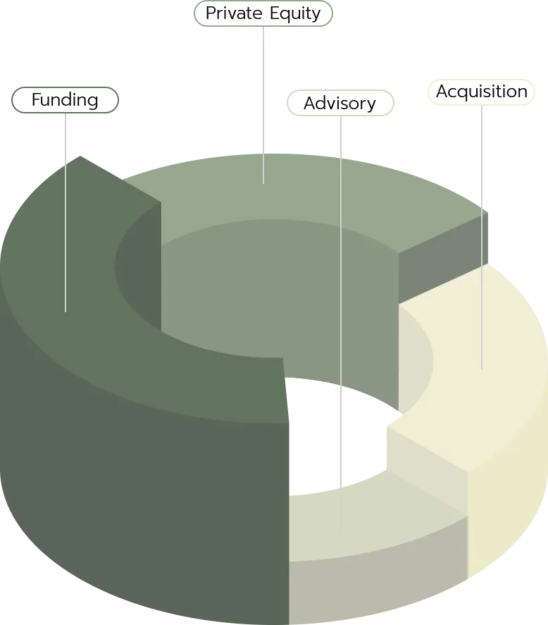 PPP Advisory : The Power of Private Placement