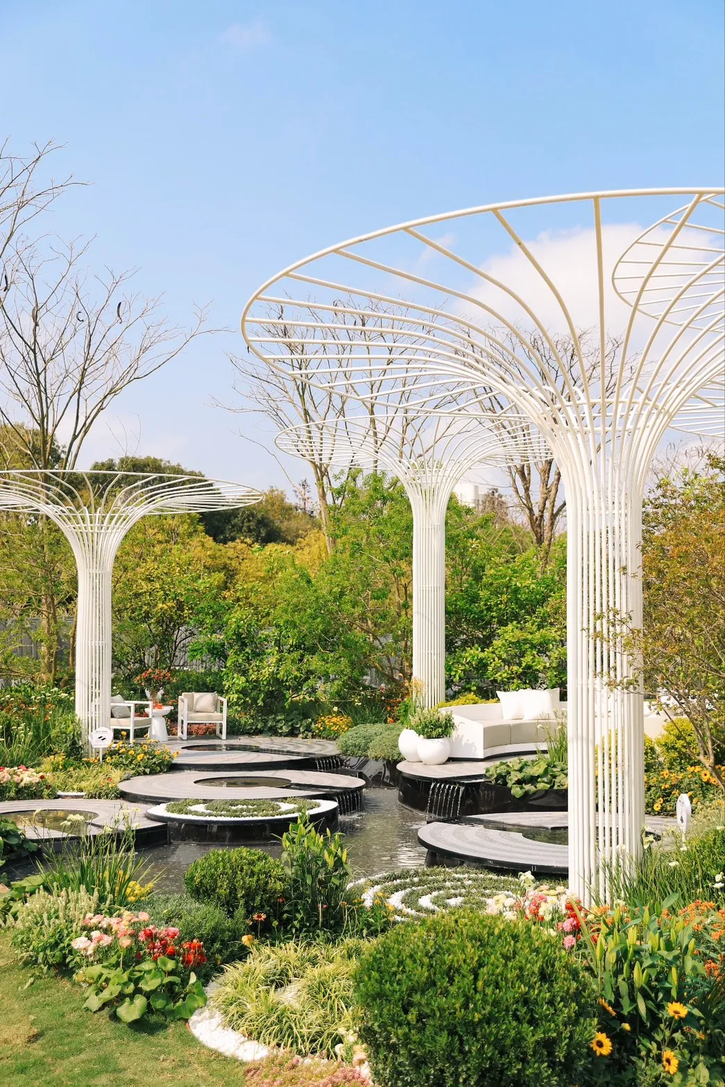 The First Drop (#gingsite2239) at Greater Bay Area Flower Show 2025