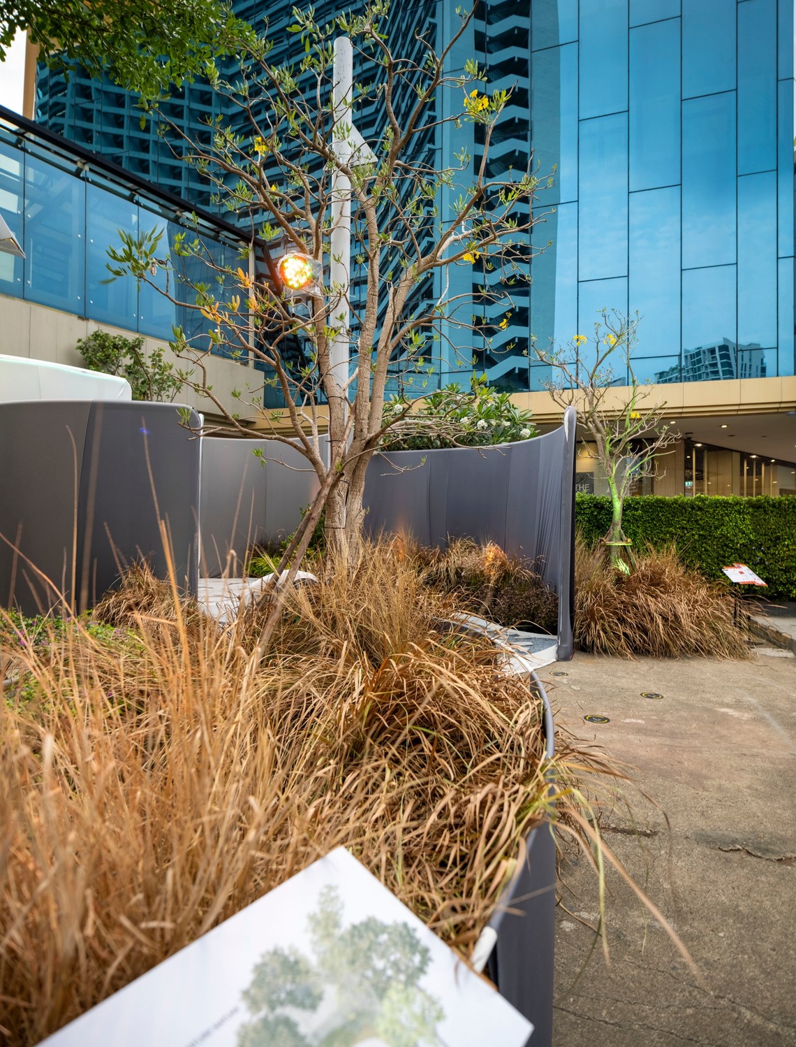 BIO BARRIER - พื้นที่ปลอดภัยจากการโอบล้อมและการเยียวยาของธรรมชาติ