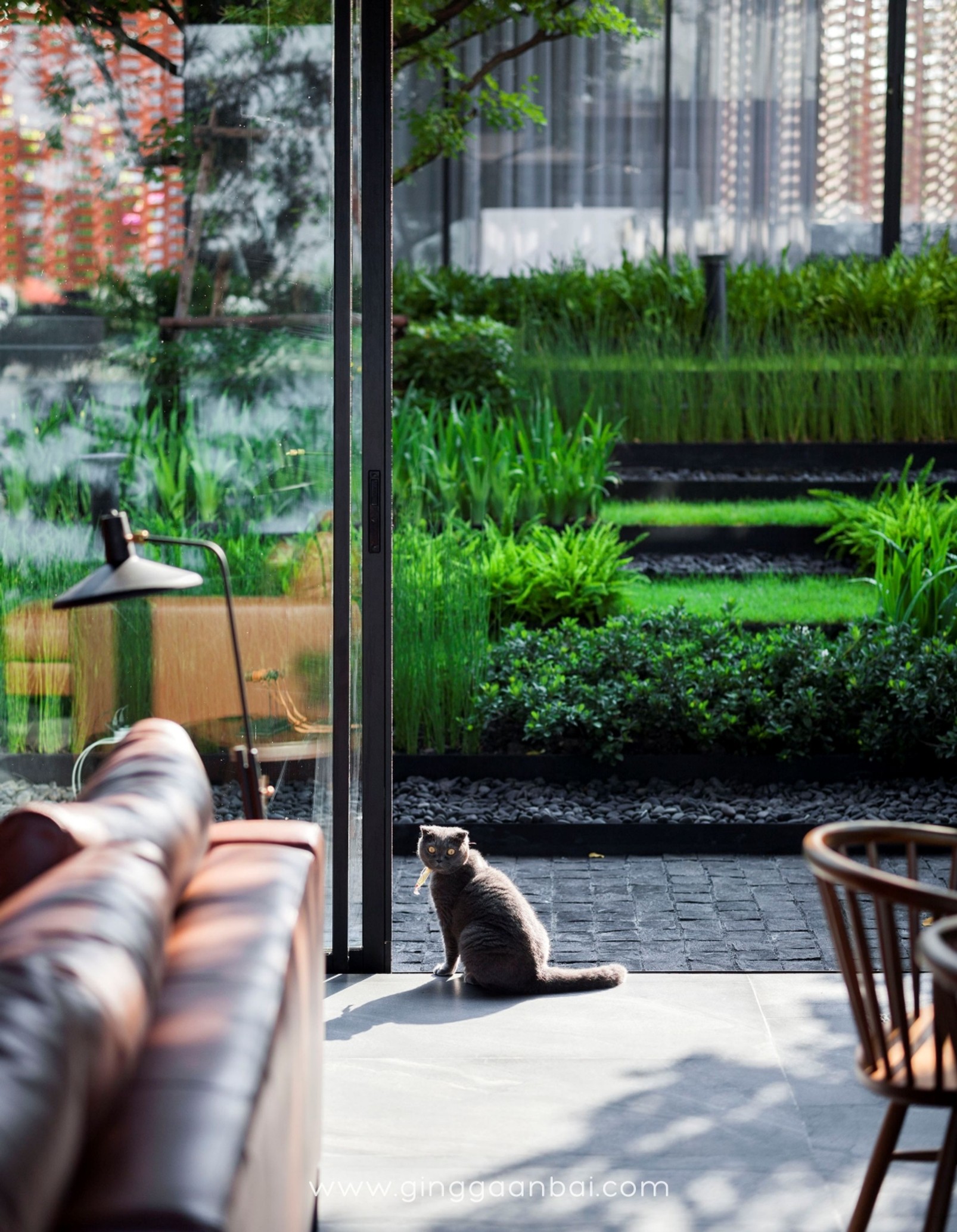 The Horizon scene (#gingsite1009)